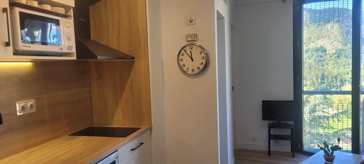 Sanglier - Edificio Aneto - Baqueira