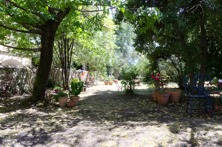 Mas Abicou - Celeste - Alès