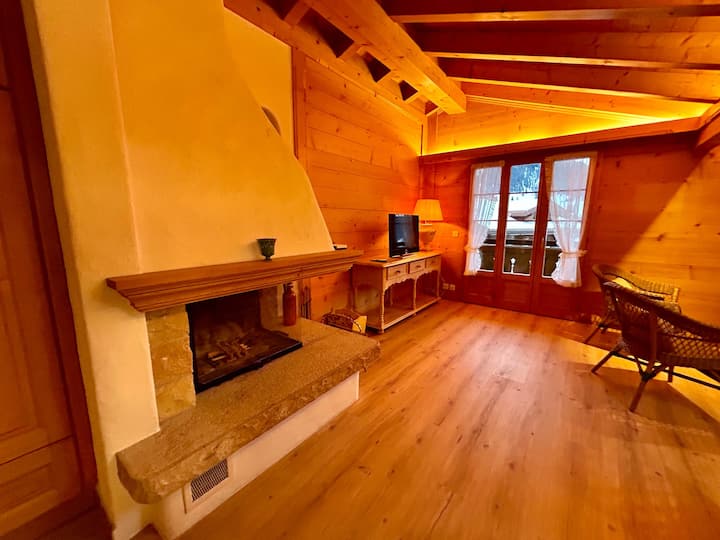 Cozy Vacation Rental In Gstaad - Gstaad