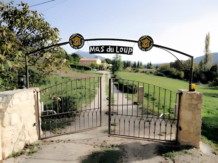 Le Mas Du Loup - Camélia - Moustiers-Sainte-Marie