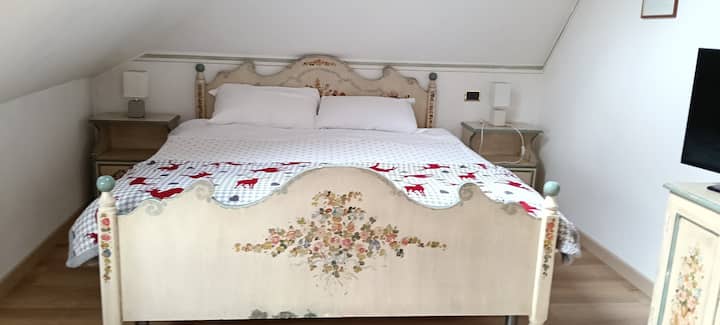 Suite-famille-salle De Bain Privée-vue Sur Montagn - Moena