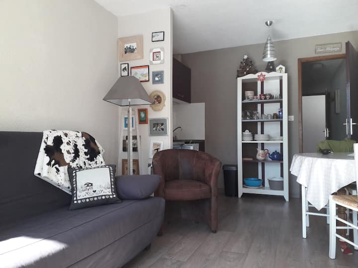 Studio Le Praz De Lys , 1 Pièce, 4 Pers. - Les Gets