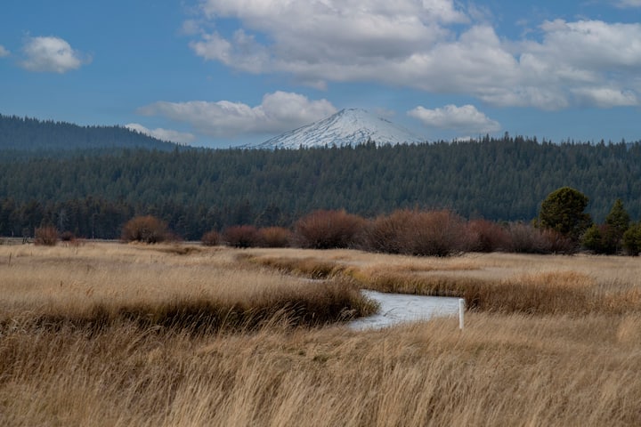 The Meadow House In Sunriver - Sunriver, OR
