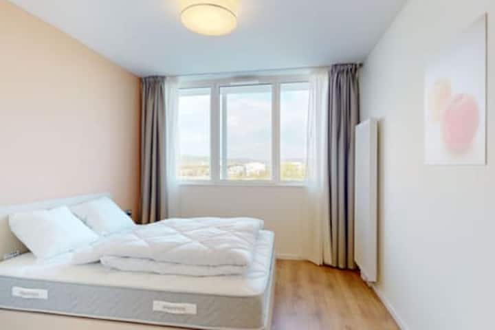 Travailler Au Bord Du Rhin - Wifi & Coworking801 - Huningue