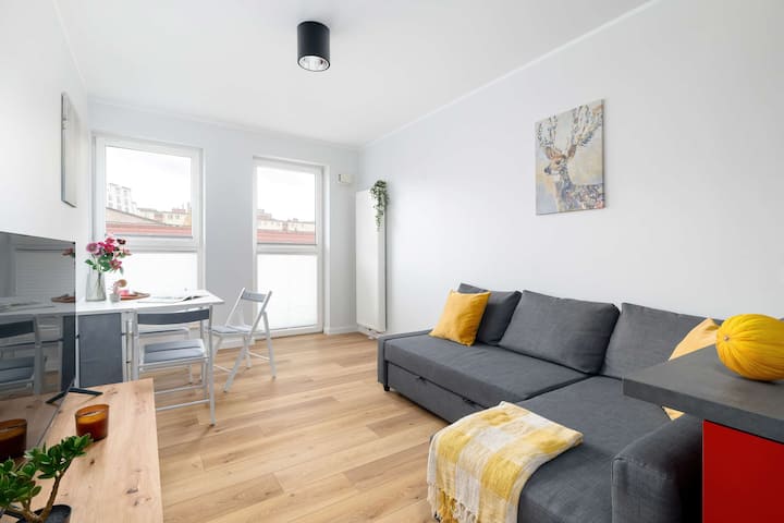 Polna 28 | Red And Grey Apartment For 8 | Parking - Poznań