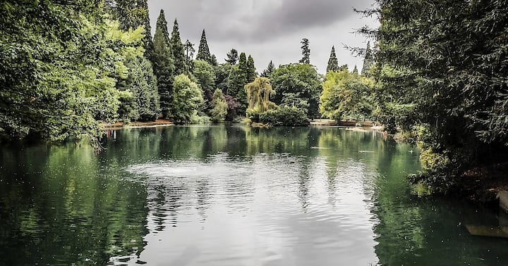 Rare Find! Four Modern And Pet-friendly Units! - Portland, OR