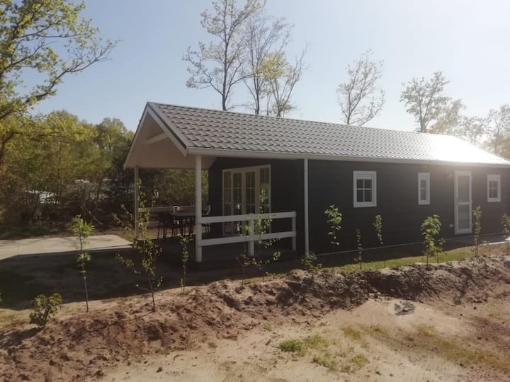 Gîte Forestier Confortable Avec Espace Ouvert. - Ommen