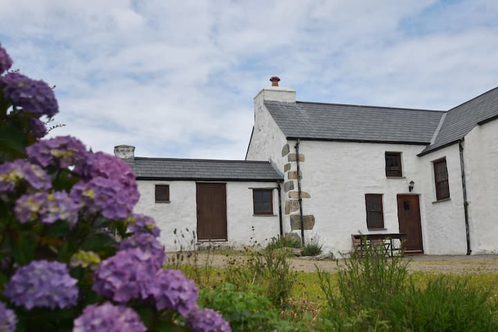 Panteurig Cottage - Fishguard