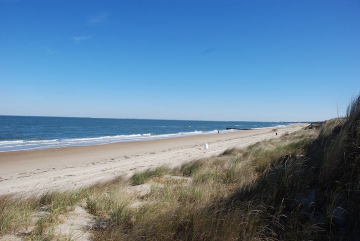 New! Mermaids & Mutts - Norfolk, VA