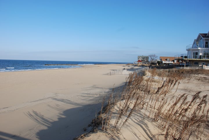New! Cozy Suite - Pet Friendly, Beach Side - Norfolk, VA