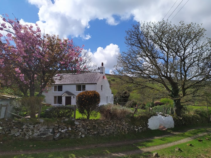 Penllain - Fishguard