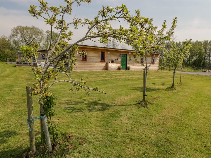 Down The Rabbit Hole - Cheddar