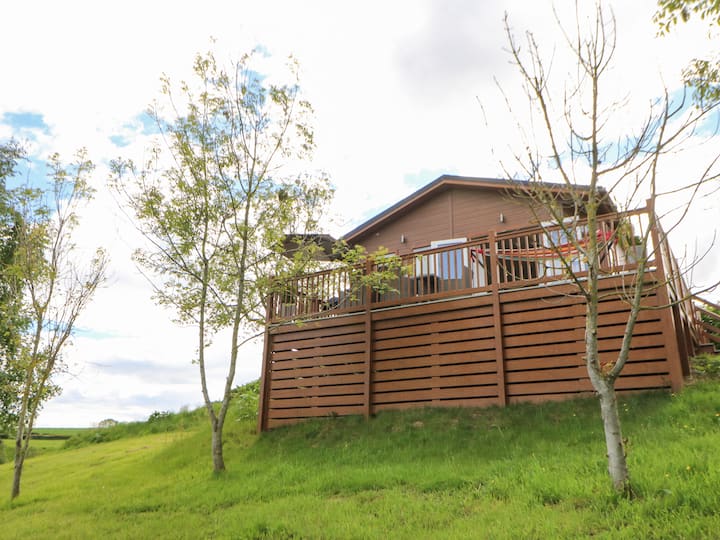 Rashierigg - Catterick