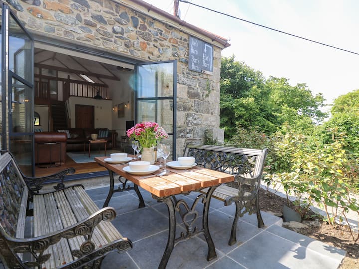 Joe’s Barn - Lizard