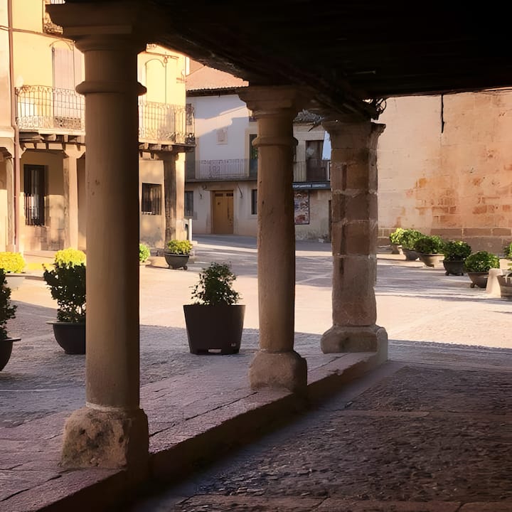 La Consulta De Paloma - Riaza