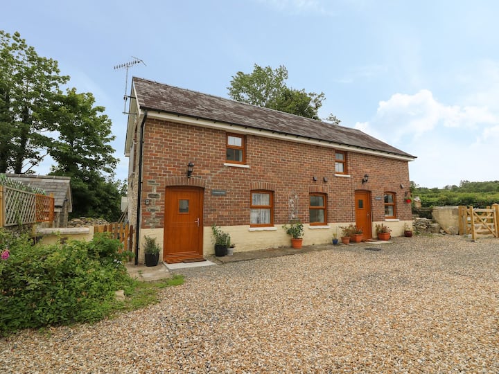 Field View - Lampeter