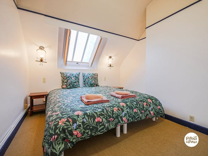 Le Setter : Cosy, Au Pied Du Château, Pet-friendly - Amboise