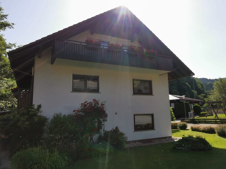Ferienwohnung Schöner - Gengenbach