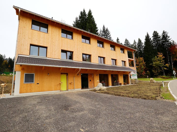 Appartement De Vacances Acceptant Les Chiens - Oberstaufen