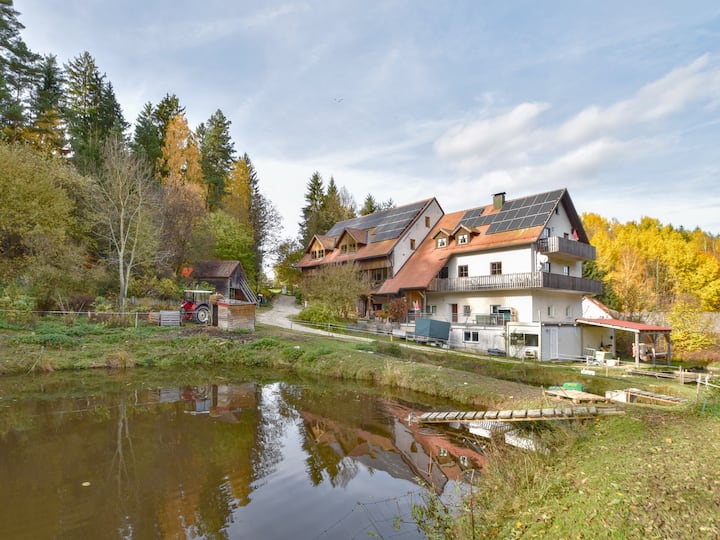 Gîte Isolé En Forêt Du Haut-palatinat - Waidhaus