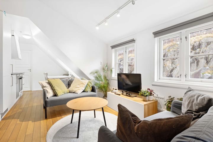 L1sb18 - Central 2br Hideaway - Bergen