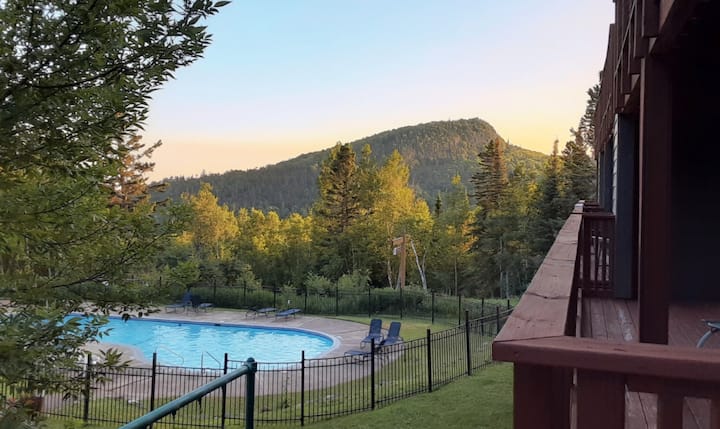 New Spacious & Cozy 1 Bed End Unit Ski In Ski Out - Lutsen, MN