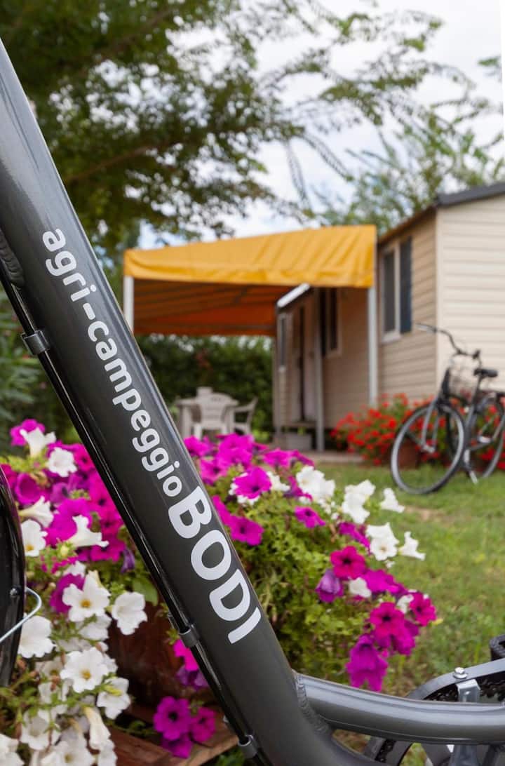 Casa Camelia 3 - Venise