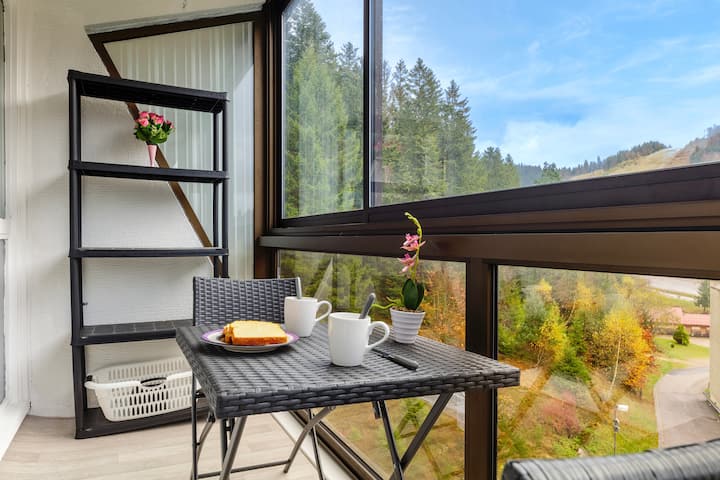 Kamélia - 10min Des Pistes - Xonrupt-Longemer