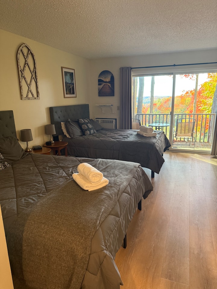 Cozy Slope Condo|pet Friendly| - Torch Lake, MI