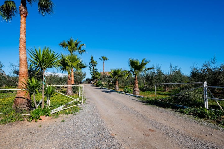 El Paraíso Del Olivar - Sanlúcar la Mayor