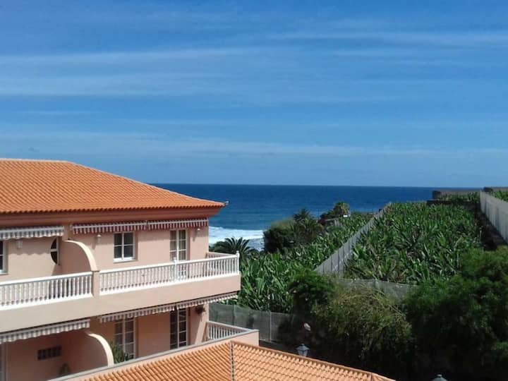 Live La Caleta Mar De Plata 14 - Garachico