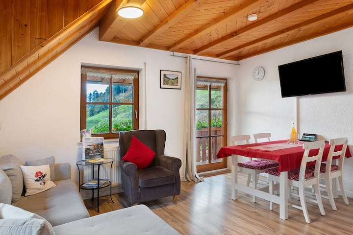 Ferienwohnung 1 - Talblick - Gengenbach