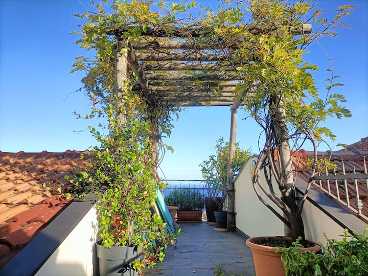 Terrazza Con Glicine By Interhome - Alassio