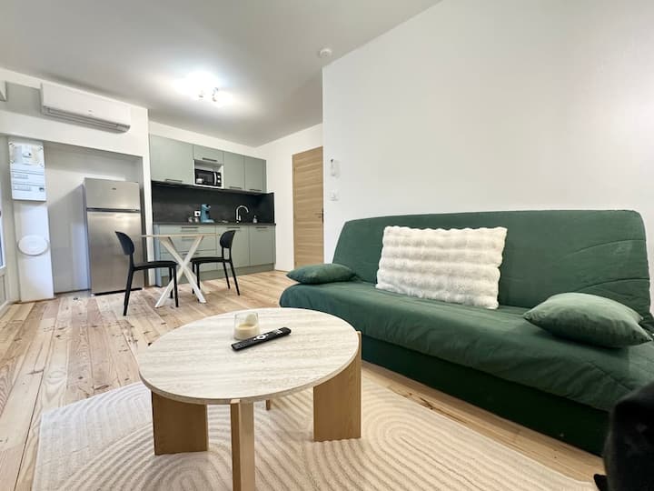 The Green & Cozy - Hyper Centre - Tout éQuipé - Mont-de-Marsan