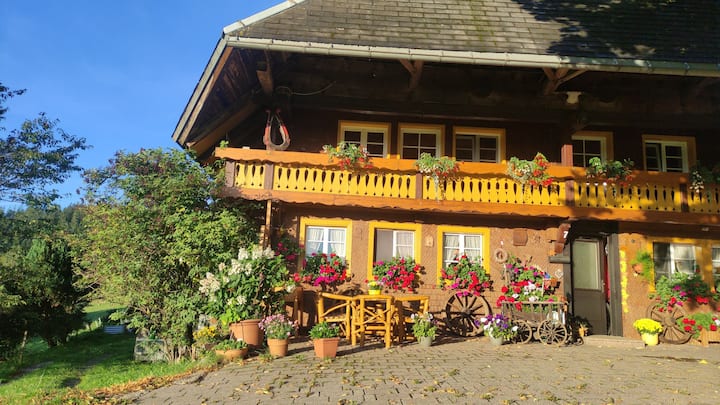 Reesbauernhof - Fewo Abendrot - Schauinsland