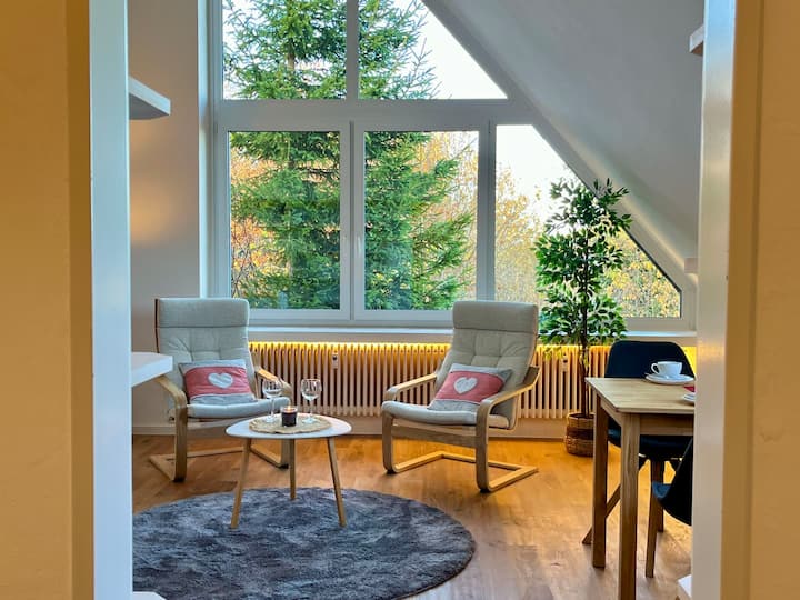 Falkennest - Mit Blick Auf Den Titisee - Feldberg