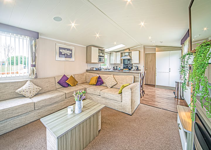 Foxglove 4 Moselle (Pet) - Bala