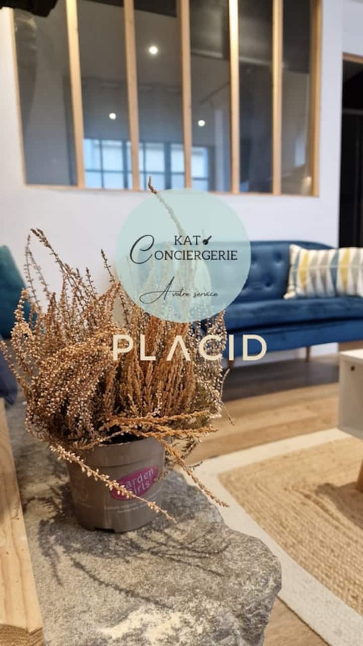 Le Charme De Vannes à Vos Pieds - Murs En Pierre - Vannes