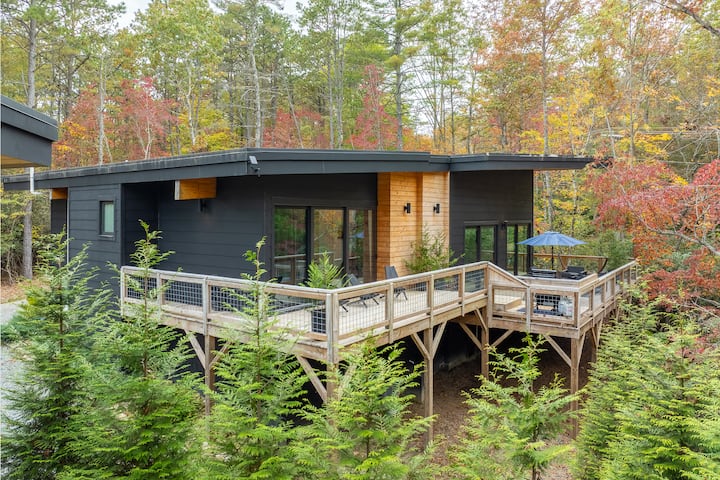 Glass Pines In Pisgah Forest - Brevard