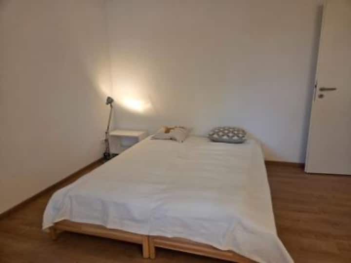 Eichhörnchen - Grafenhausen