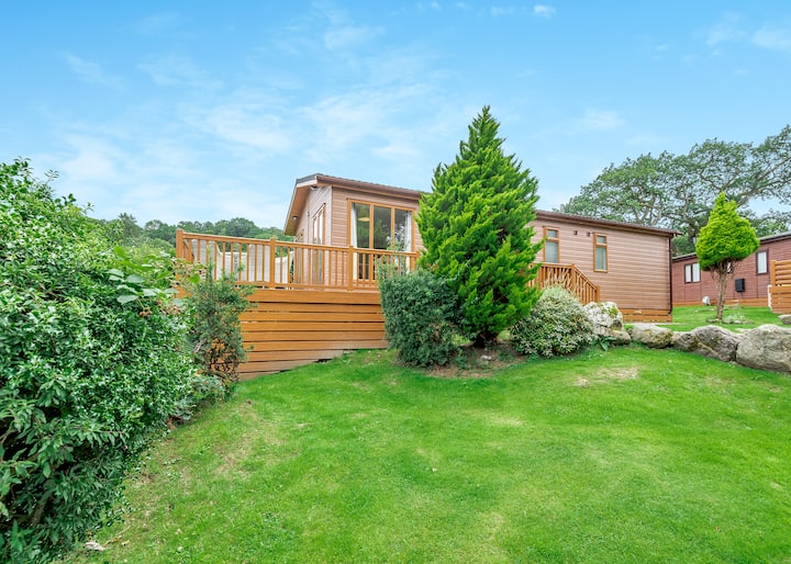 Foxglove 6 Platinum - Bala