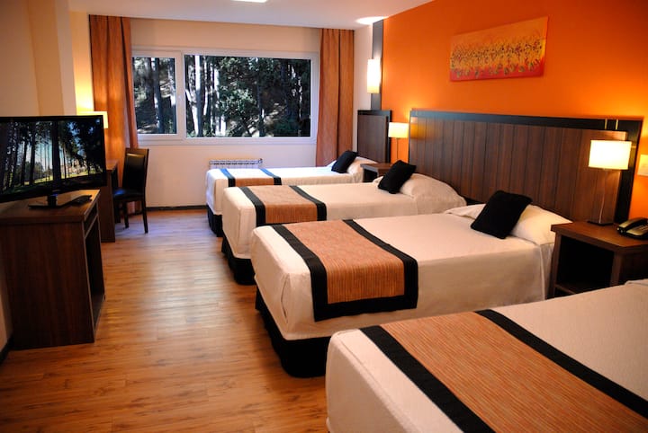 Experience Bariloche: Room With Stunning Outlook - Bariloche