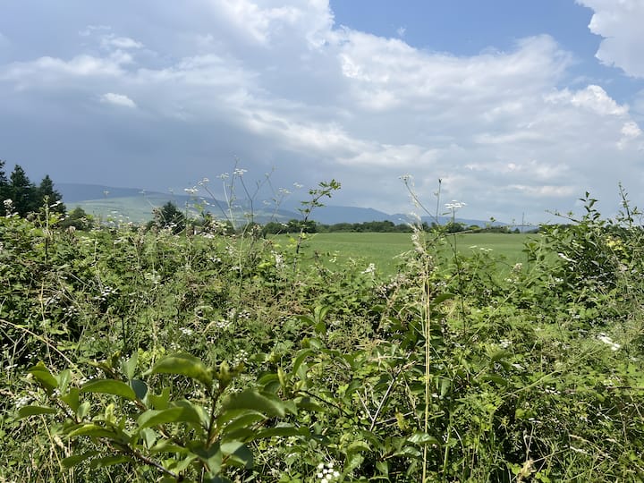 Adélaide Cottage - Cluny