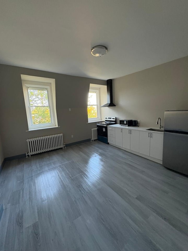 #40.4 St. Catharines 1-bedroom Hotel-apartment - St. Catharines