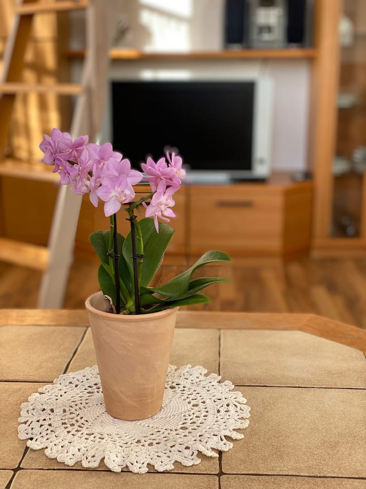 Ferienappartment A - Schramberg