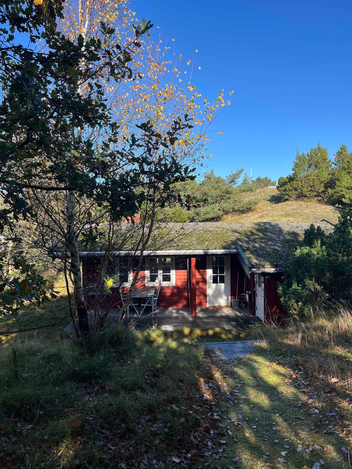 Log cabin on Fanø near beach and nature - Houses for Rent in Fanø ...