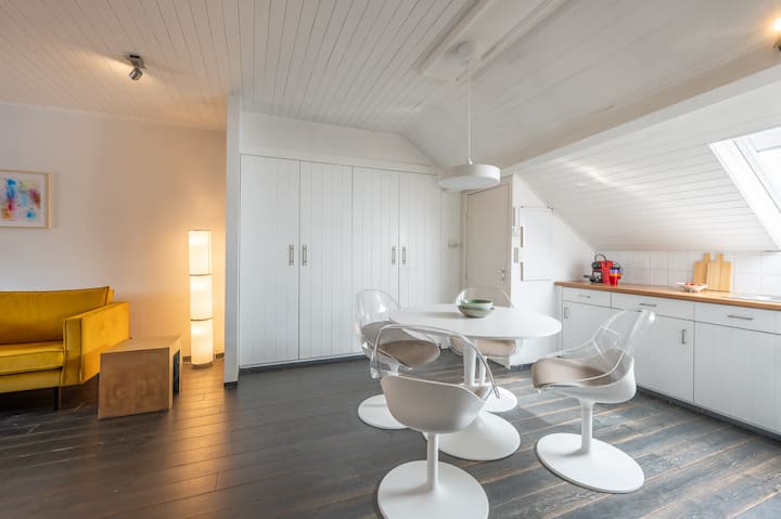 Modern Cozy Apartment With Bright Living Spaces - Bruges
