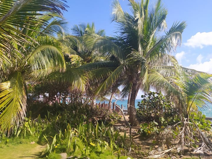 Luxe Condado Condo Terrace - San Juan