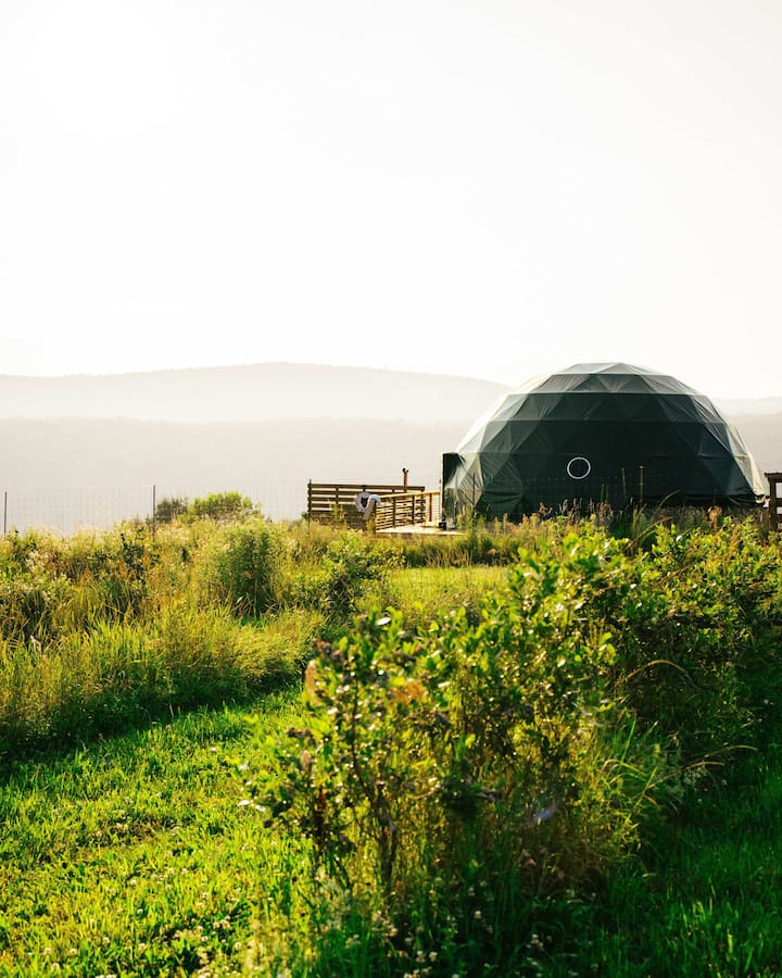 'The Bear Dome' With Barrel Hot Tub Near All Star - Oneonta, NY