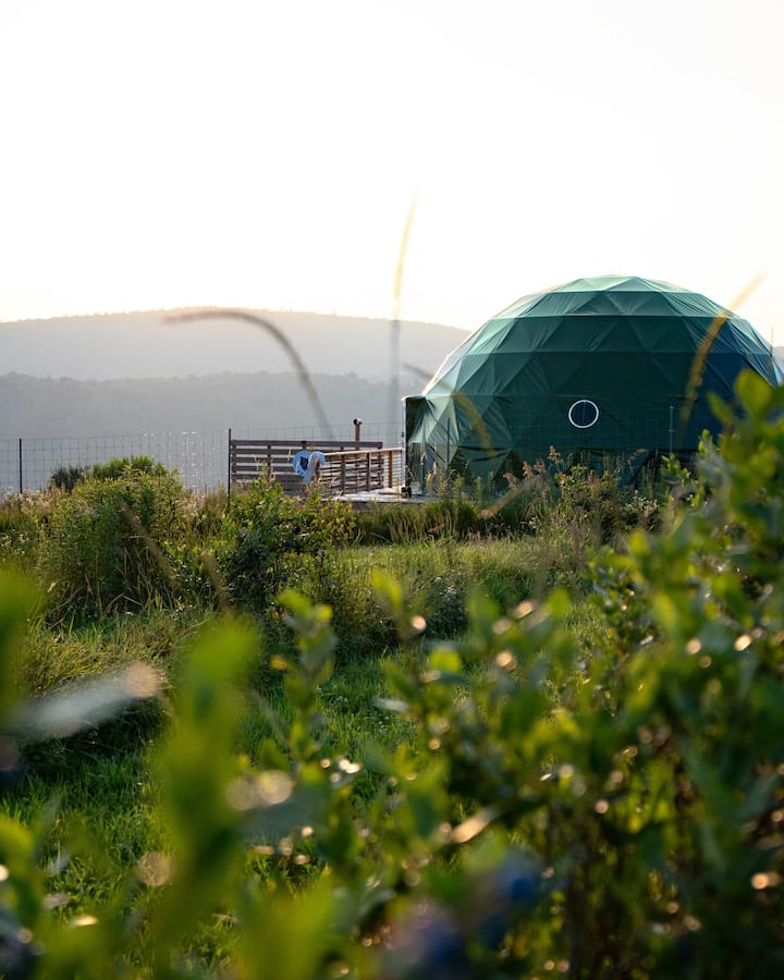 Glamping Getaway At 'The Coyote Dome' Near All Sta - Oneonta, NY